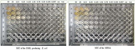 Mic Of The Esbl Producing E Coli St405 And Mrsa Isolate X Axis Are The