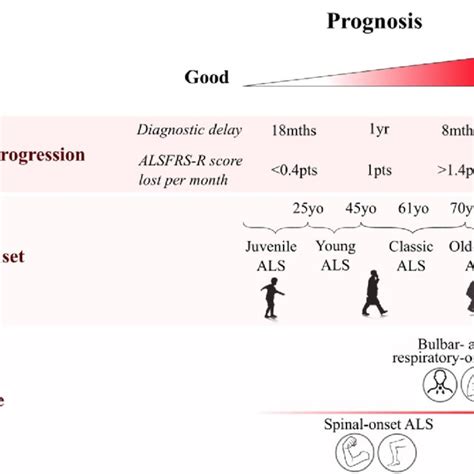 Als Age Of Onset Variability And Their Clinical Features Summary Of