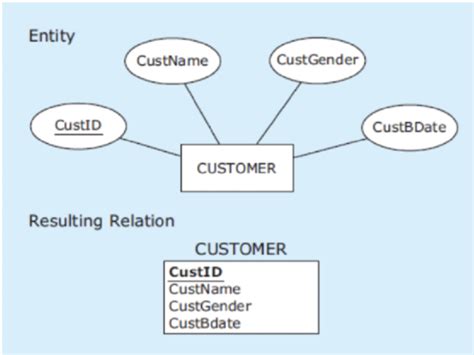 Infs Exam 1 Relational Schema Flashcards Quizlet