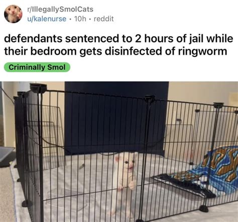 Completely Innocent Wunk Behind Bars Rwunkus