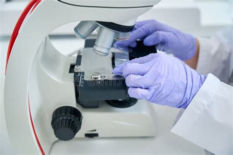 Laboratory Employee Places A Biomaterial For Dna Test Under Microscope Stock Image Image Of