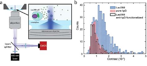 Figure 1 From Visualizing Cellular Secretion With Single Protein