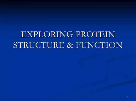 PPT - EXPLORING PROTEIN STRUCTURE & FUNCTION PowerPoint Presentation - ID:4625950