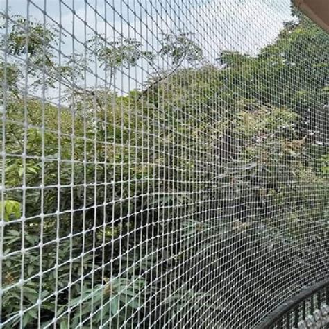 Offline Protection From Birds Anti Bird Netting Services At Rs 3 5 Square Feet In New Delhi