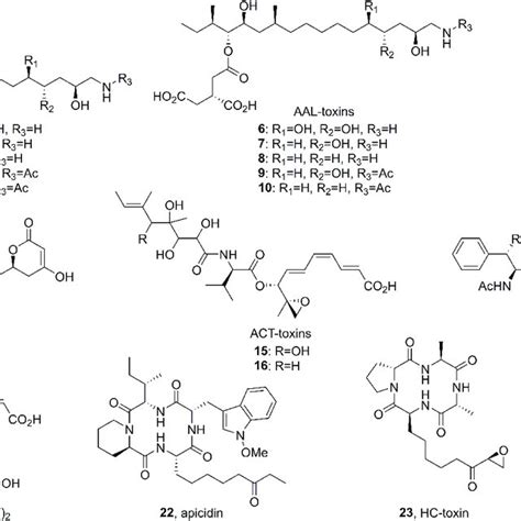 Structure Of Host Specific Toxins 1 21 And Other Secondary