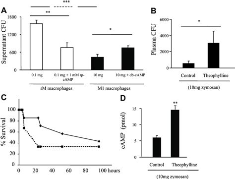 Resolution Phase Macrophages Possess Reduced Bactericidal Properties