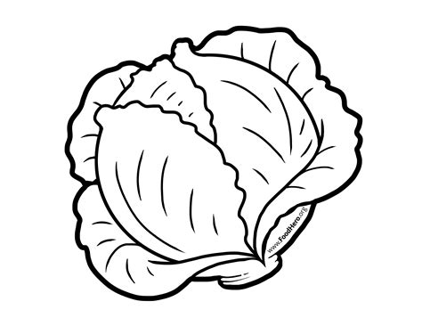 Cabbage Food Hero Educational Resources Vegetable Coloring Pages