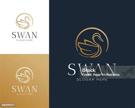 추상적인 럭셔리 백조 로고 디자인 벡터 일러스트레이션 백조에 대한 스톡 벡터 아트 및 기타 이미지 백조 로고 아이콘 Istock