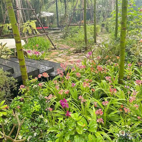 เพลินธารคาเฟ่ สระบุรี 🌳🌿 แกลเลอรีที่โพสต์โดย เช็คอินลพบุรี Lemon8
