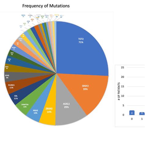 Gene Mutation Distribution In Hispanic Cmml Patients From Puerto Rico
