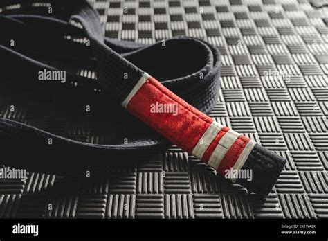 Brazilian Jiu Jitsu Bjj Black Belt Second Degree On The Tatami Mats At
