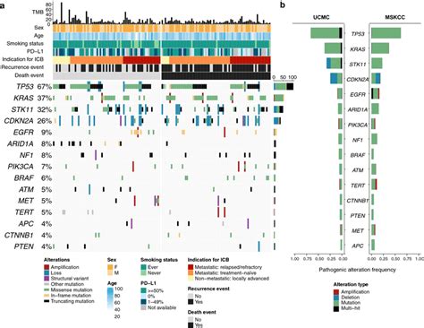 Genomic Landscape Of Nsclc Tumors A Oncoprint Plot Of Ucmc Cohort