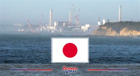 Japón comienza a descargar agua contaminada con desechos nucleares de
