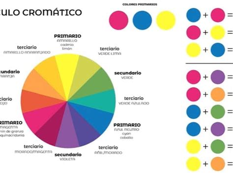 La Importancia De Los Colores Complementarios Fotografía