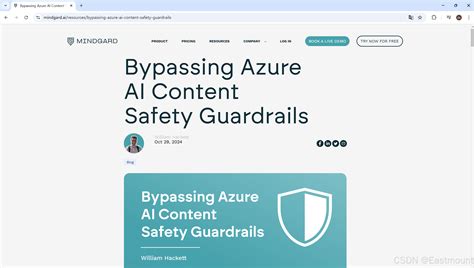 [译文] llm安全：4 绕过 azure ai 内容安全防护措施（字符注入和对抗机器学习） 安全 eastmount 2048 ai社区