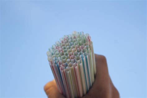 The Problem With The Plastic Straw Ban The Cougar Chronicle