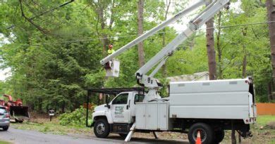 Tree Pruning Methods Tree Care Tips