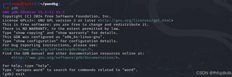 Kali Pwndbg遇到的问题已解决，亲测有效kali安装pwndbg Csdn博客