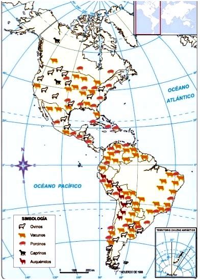 Mapa de actividades económicas de América Mapa de América
