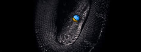 Handy Python Web Development Frameworks You Should Start Using Today