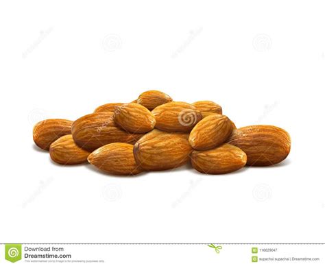 Almonds Isolated On White Background Stock Image Image Of