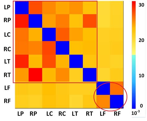 Is Granger Causality Analysis A Linear Operation？ 12 By Francois Discussions Brainstorm