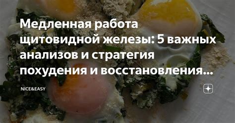 Медленная работа щитовидной железы 5 важных анализов и стратегия похудения и восстановления