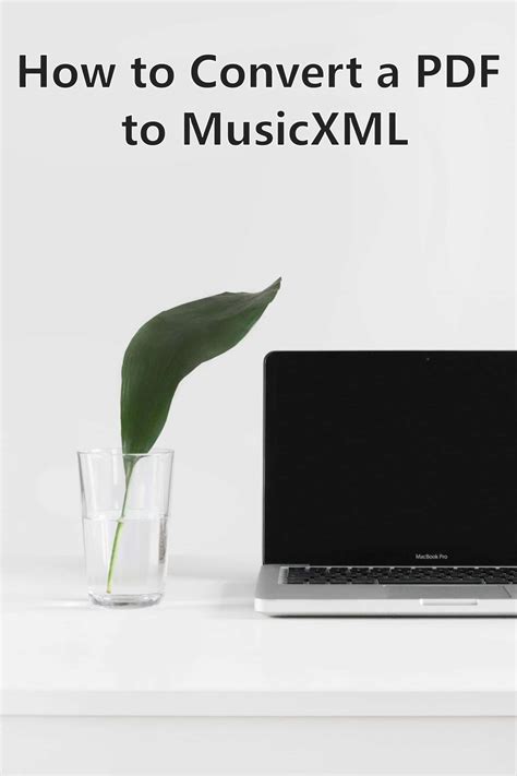 How To Convert A PDF To MusicXML SCANSCORE