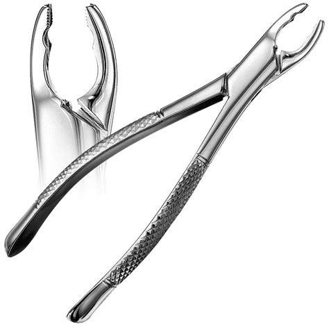 Forcep Extraction 150xas Pedo Split Beak Serrated 5 3 4 Ace Southern