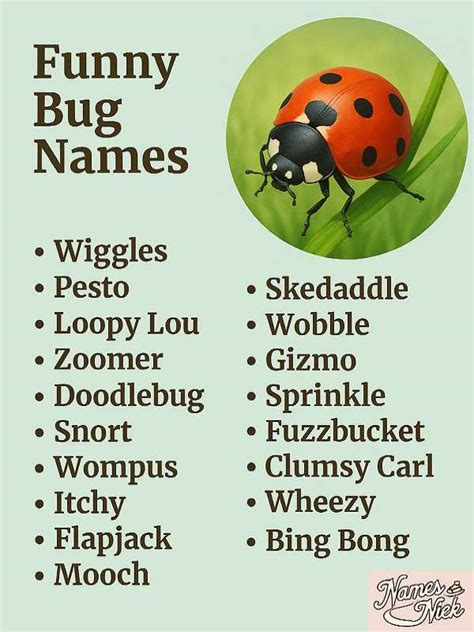 500 Cute Funny Bug Names With Generator Names Nick