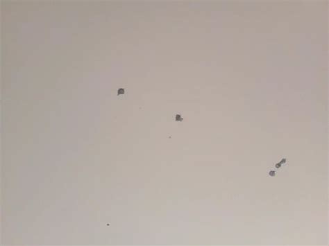 How To Fix The Wrong Colour Polyfill Bunnings Workshop Community