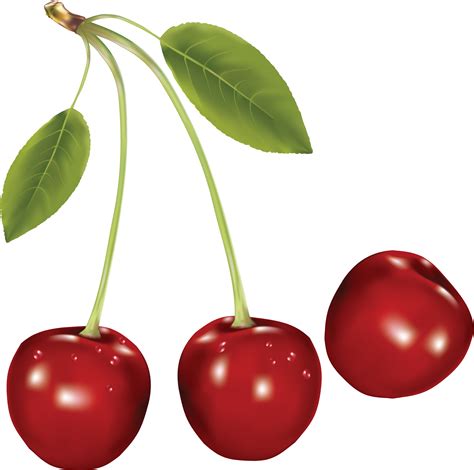 Collection Of Hq Cherry Png Pluspng