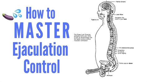 Neat Info About How To Control An Ejaculation Effectsteak33