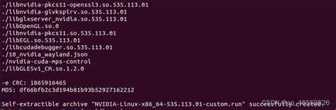 【linux】warning You Do Not Appear To Have An Nvidia Gpu Supported By