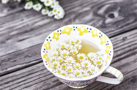 Disability Massage In Cambridge Paulina Holistic