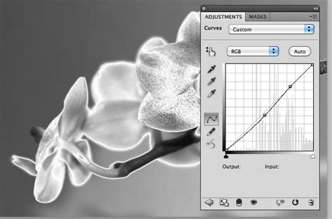 Quick Tip Using Adobe Photoshop To Create A Solarised Photograph Envato Tuts