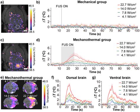 In Vivo Mr Thermometry A Representative Mr Thermometry Image In The Download Scientific