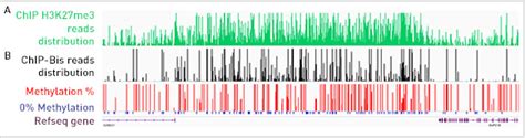 Premium Whole Genome Bisulfite Sequencing Wgbs Kit Diagenode