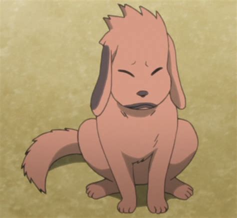 Akemaru Narutopedia Fandom Powered By Wikia