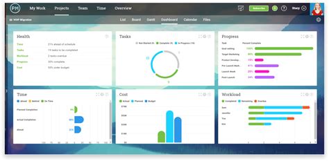 Project Dashboards Track Projects In Real Time ProjectManager