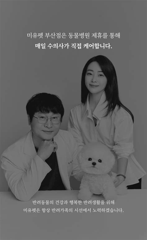 미니비숑 여아 미니비숑 부산강아지분양 부산고양이분양 미유펫