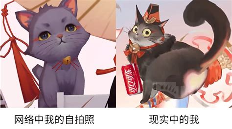 网络中的我vs现实中的我 NGA玩家社区