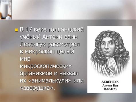 Бифидобактерии. Кефир, йогурт и сметана в домашних условиях ...