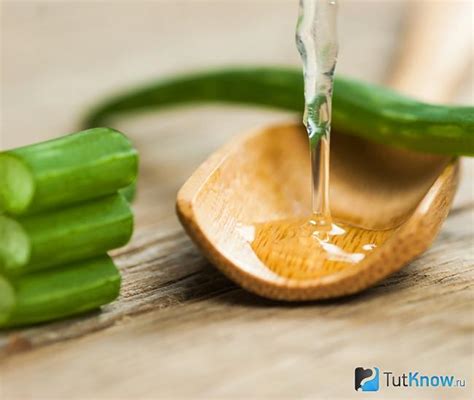 Алоэ от прыщей в домашних условиях: польза, рецепты, отзывы