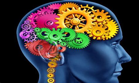 Why Cognitive Functions Decline As We Age Old