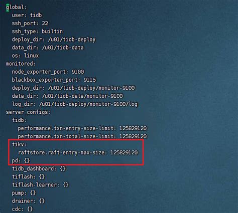 How To Modify The Value Of Raft Entry Max Size Using Tiup Translated