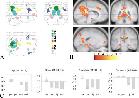 Figure 4 From The Human Hippocampus And Spatial And Episodic Memory