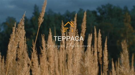 4К Каркасный дом 220 м² Второй Свет Камин Сауна Ломоносовский р
