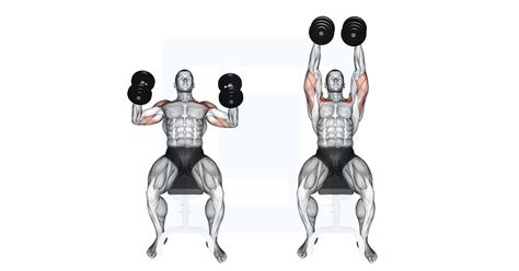 Incline Dumbbell Press Muscles Worked Neutral Grip Incline Dumbbell