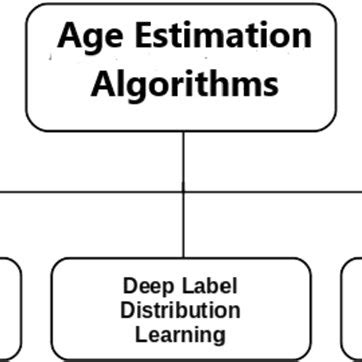A Typical CNN Age Estimation System An Age Estimation System Follows A